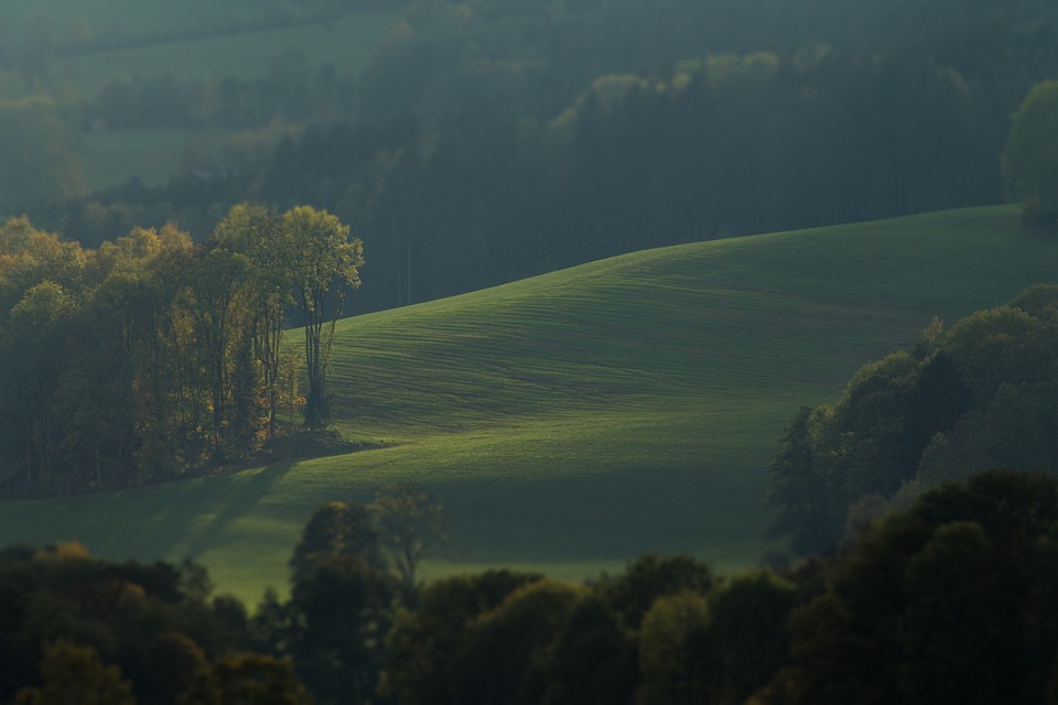 Meadow Trees Landscape - Free photo on Pixabay