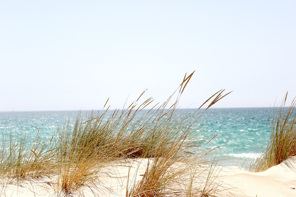 Nature Beach Sea - Free photo on Pixabay