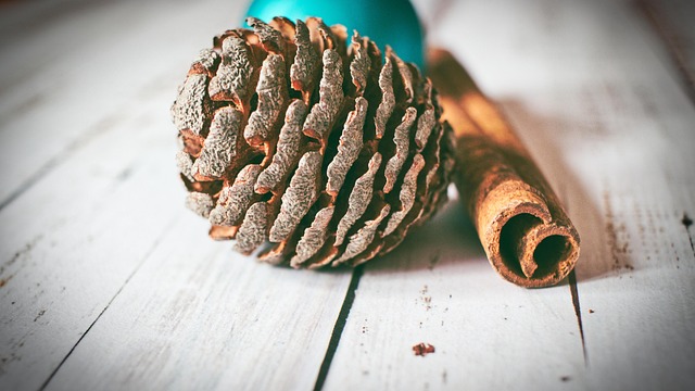 Pinecone Christmas Zimstange - Free photo on Pixabay - Pixabay