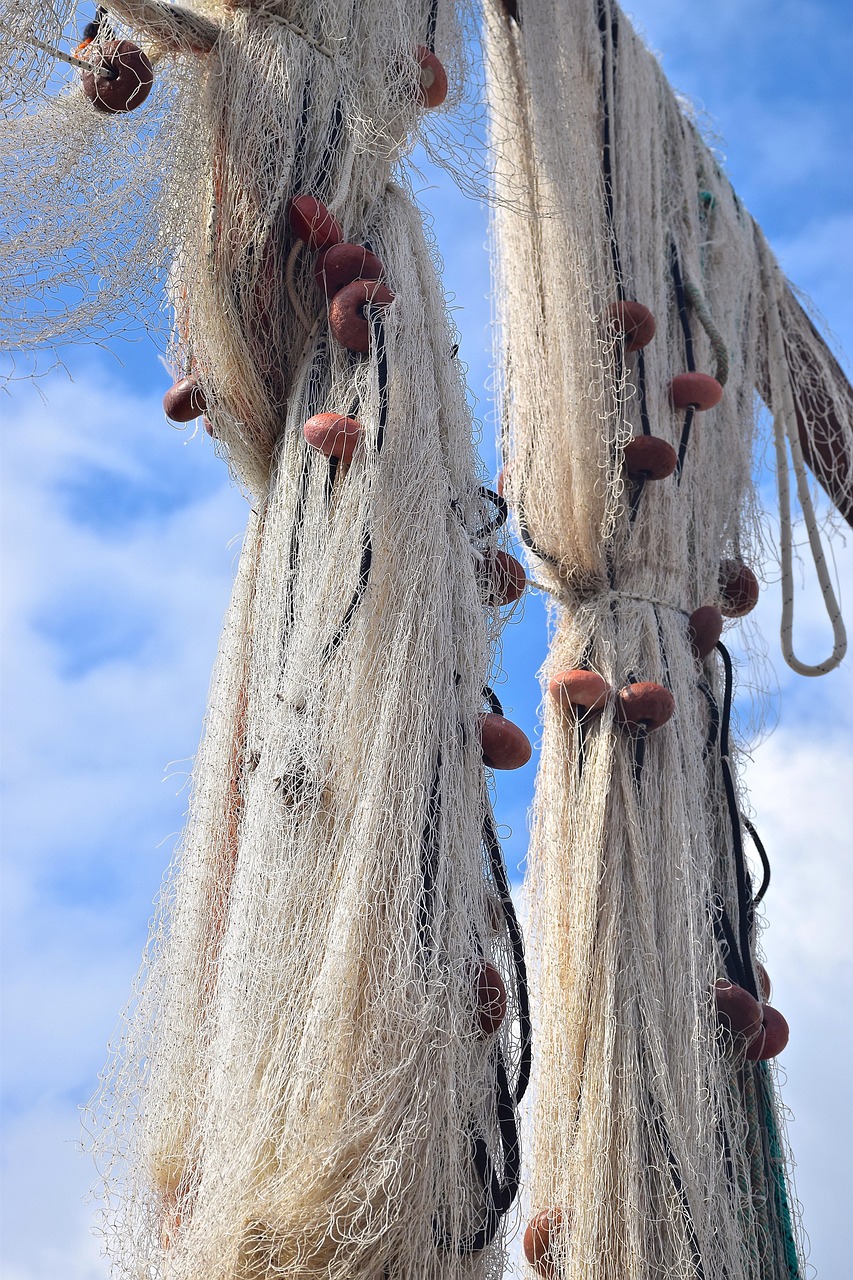 100+ Free Sea Needle & Sea Images - Pixabay