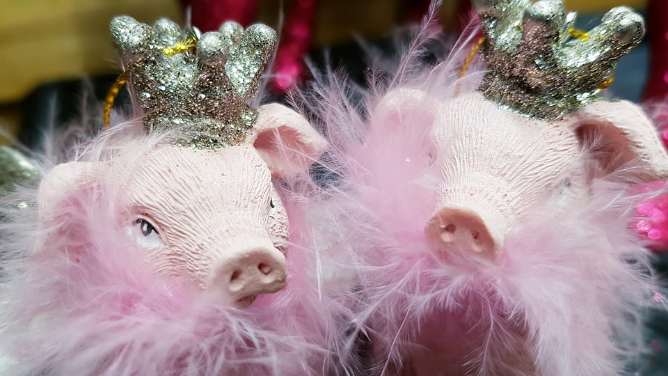 Pig Crown Feather Boa - Free photo on Pixabay - Pixabay