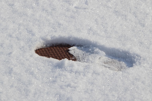 Snow Winter Footprint Pure - Free photo on Pixabay - Pixabay