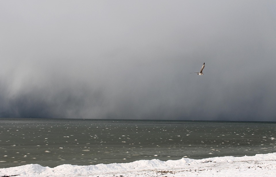 Uma Tempestade No Mar Báltico - Foto gratuita no Pixabay - Pixabay