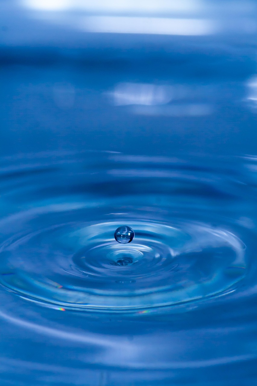 Plus De 200 000 Photos Gratuites De Goutte D Eau Et De Nature Pixabay