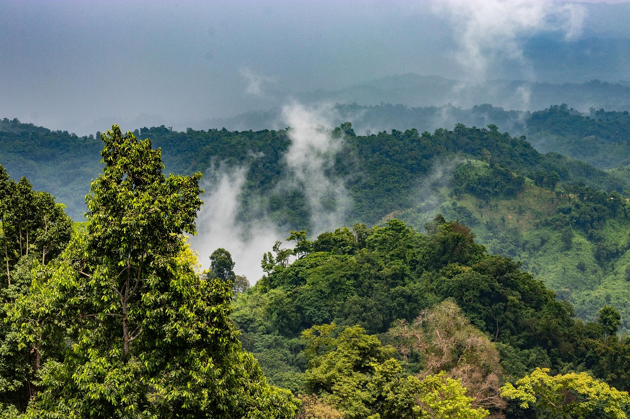 20+ Free Sajek & Sajek Valley Images - Pixabay