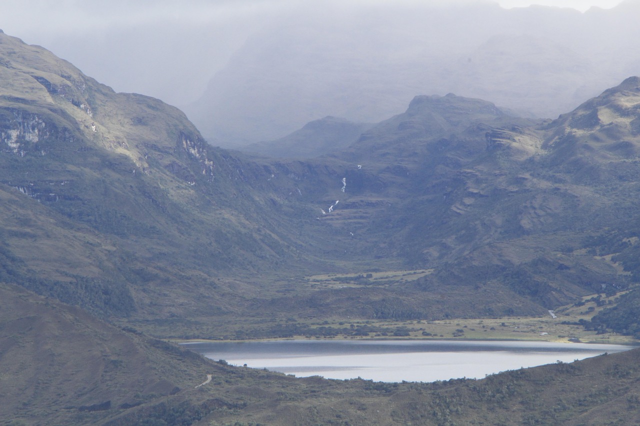 8,000+ Free Paramo De Sumapaz & Brazil Images - Pixabay