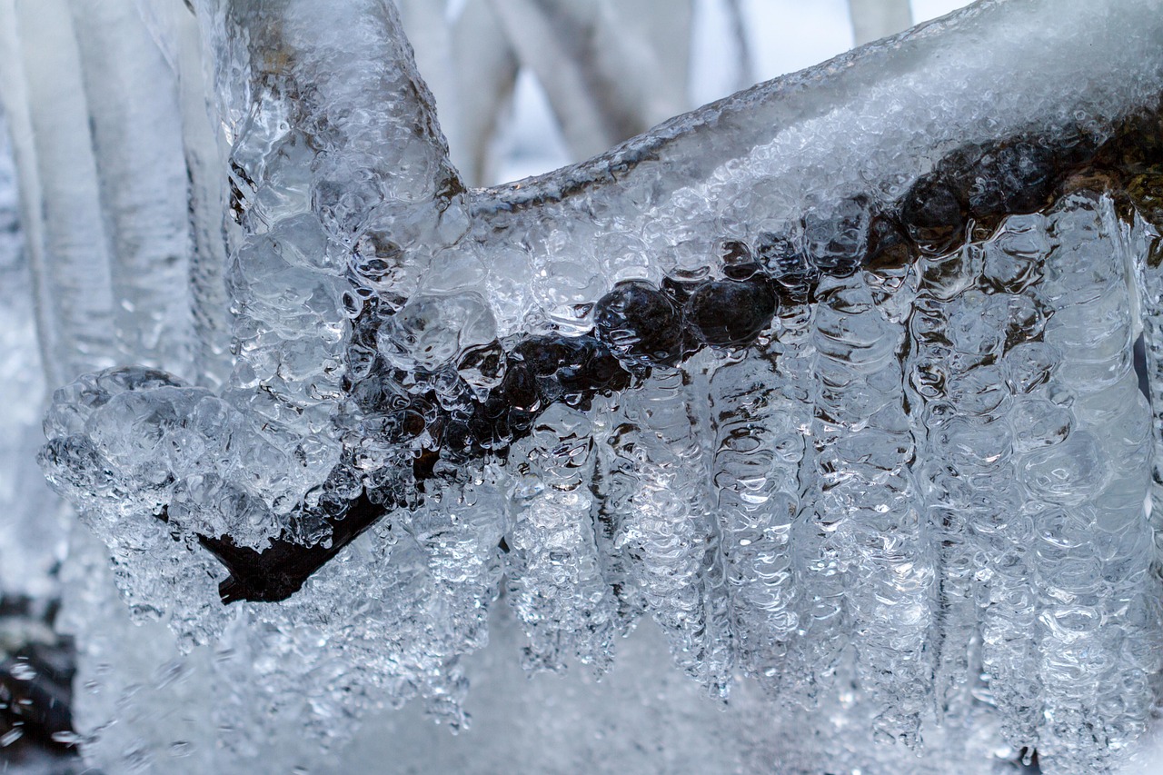 Winter Icicle Snow - Free photo on Pixabay