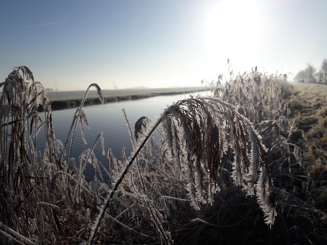 Glace Hiver Paysage - Photo gratuite sur Pixabay - Pixabay