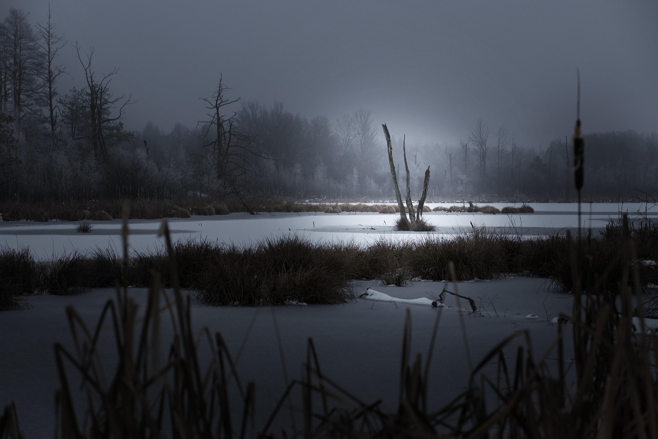 Silence Winter Lake - Free photo on Pixabay