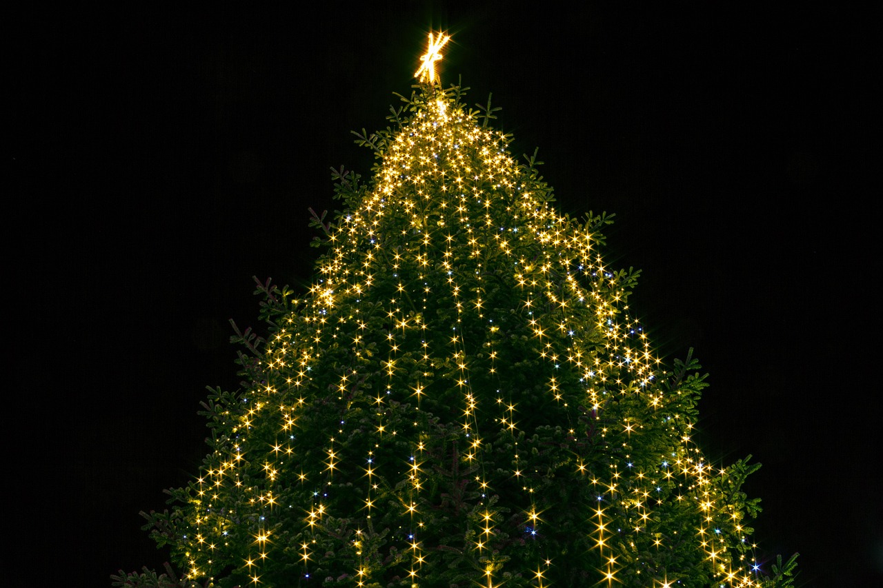Christmas Tree Lights - Free photo on Pixabay