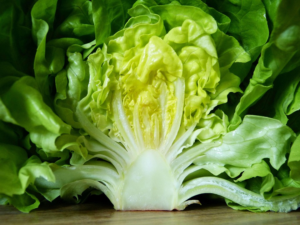Salad Green Healthy - Free photo on Pixabay - Pixabay