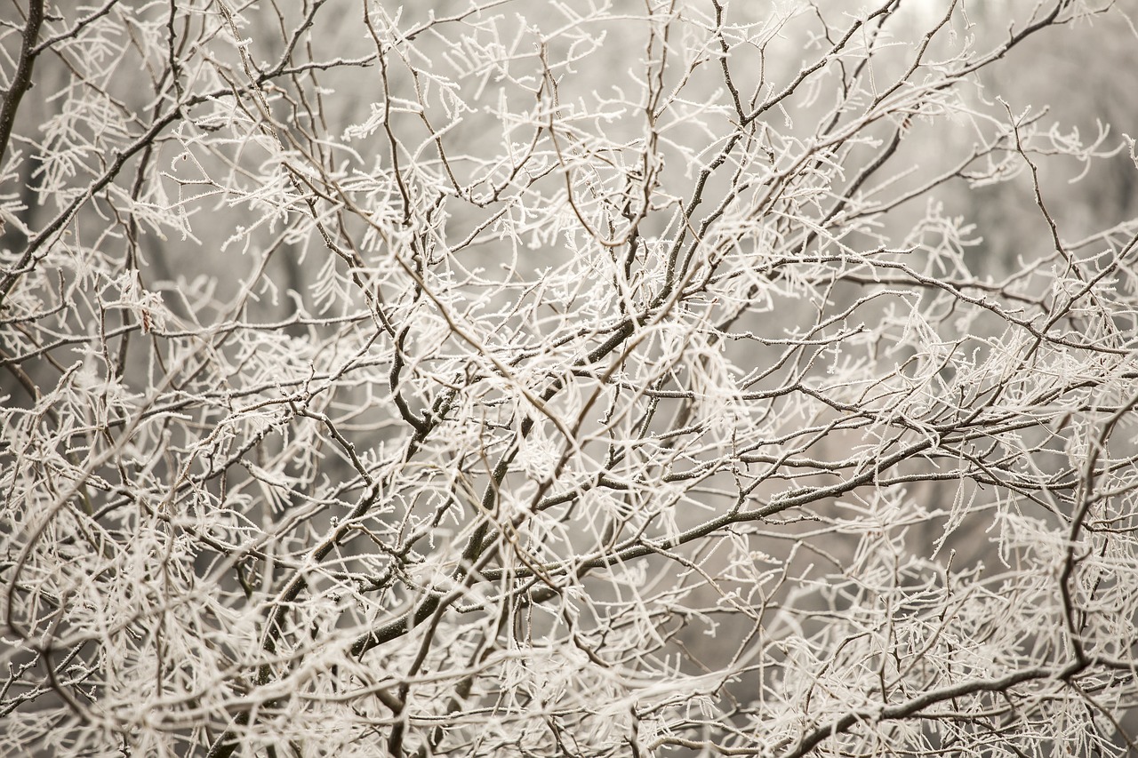 Gel Gelo Frio - Foto gratuita no Pixabay - Pixabay