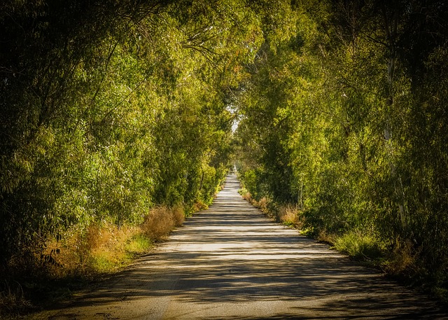 20+ Free Meniko & Meniko Images - Pixabay