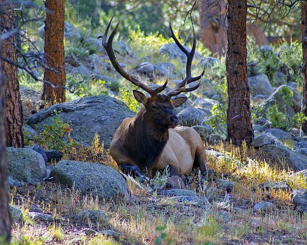 100+ Free Later & Nature Images - Pixabay