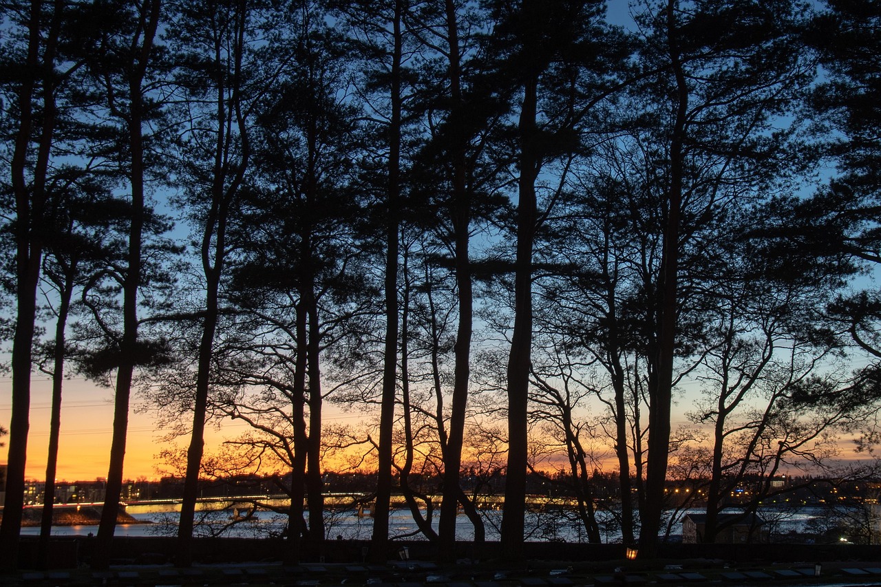 Sunset Landscape Outside - Free photo on Pixabay - Pixabay