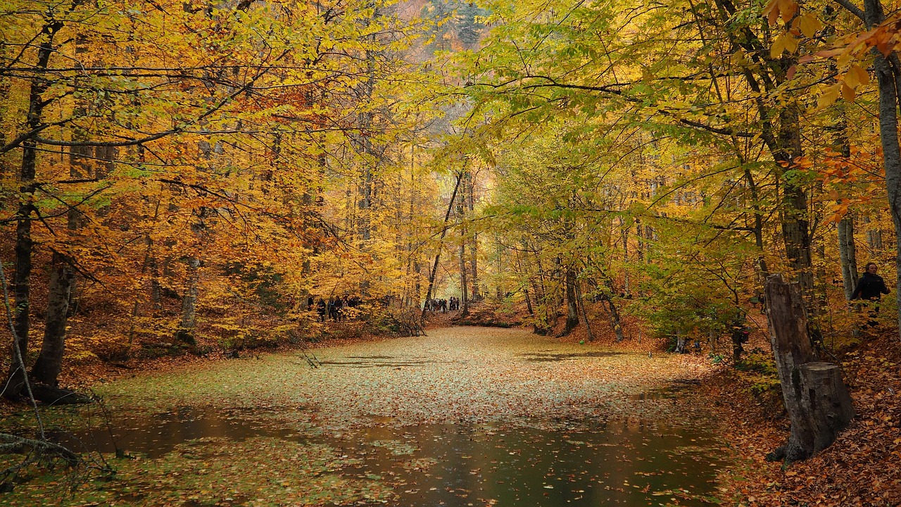 Autumn Goal Nature - Free photo on Pixabay - Pixabay