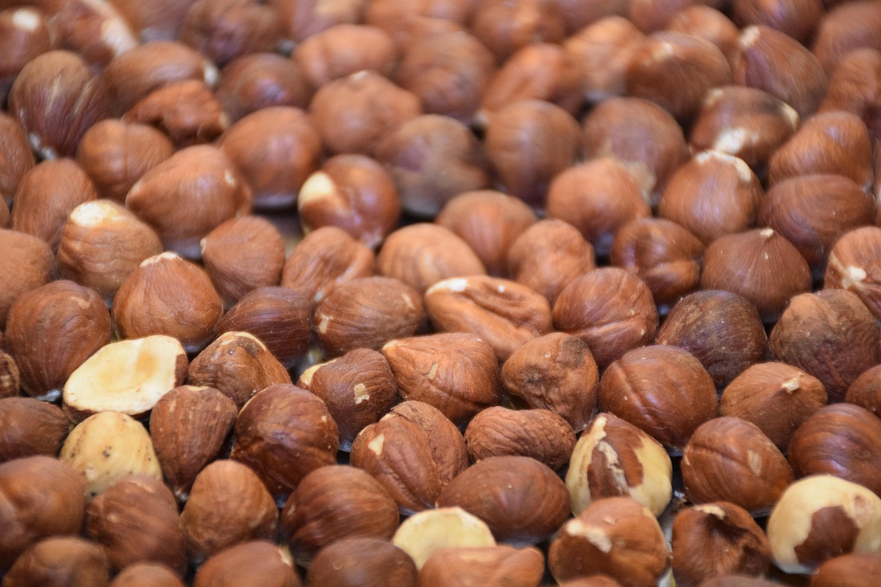 Hazelnut Peanut Nut - Ingyenes fotó a Pixabay-en - Pixabay