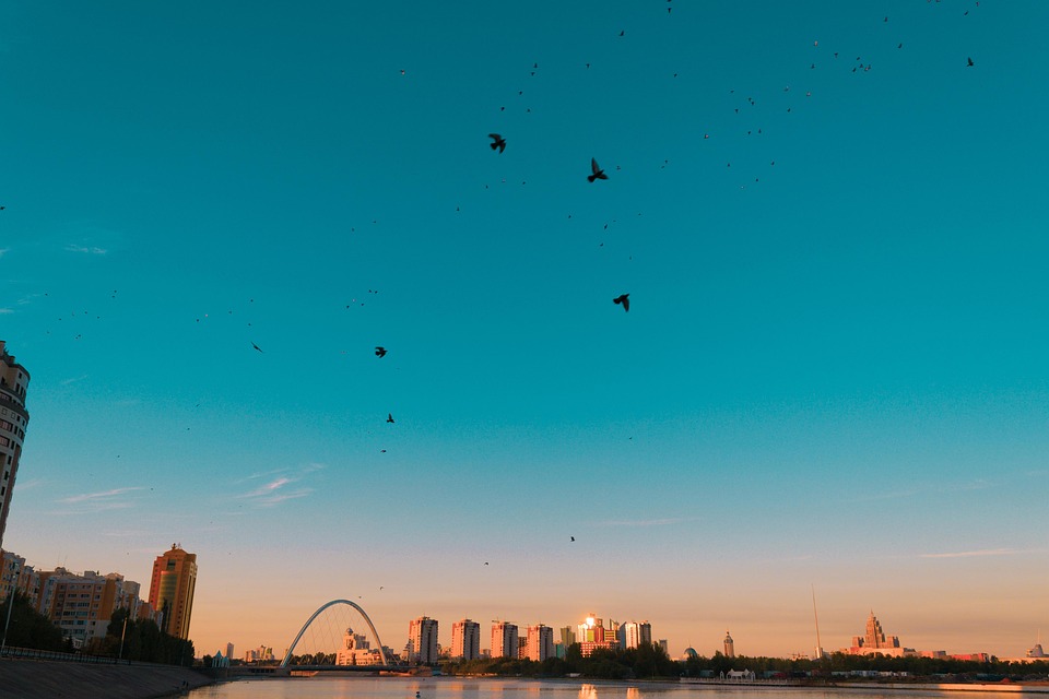 Astana Pigeons Birds The Ishim - Free photo on Pixabay - Pixabay