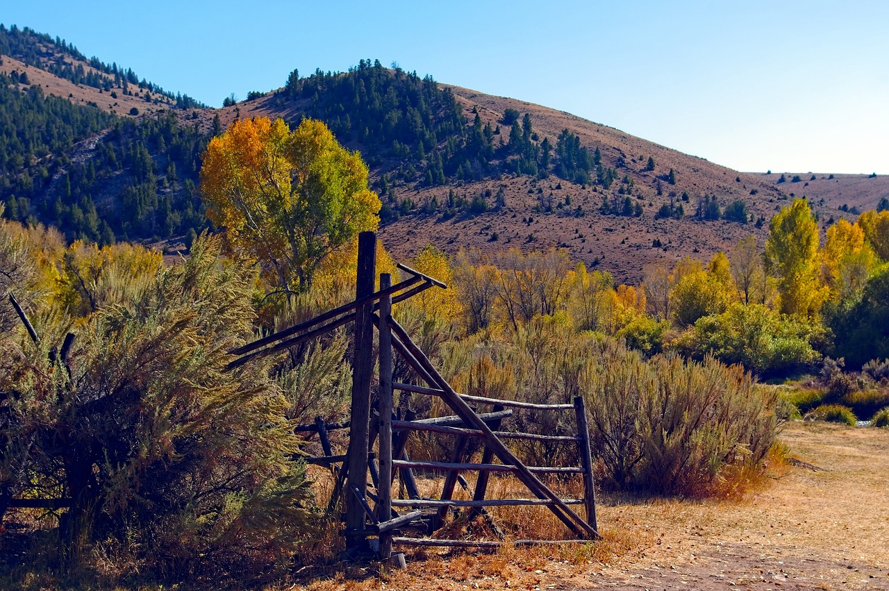 Plus de 90 photos gratuites de Bannack Fängelse et de Montana - Pixabay
