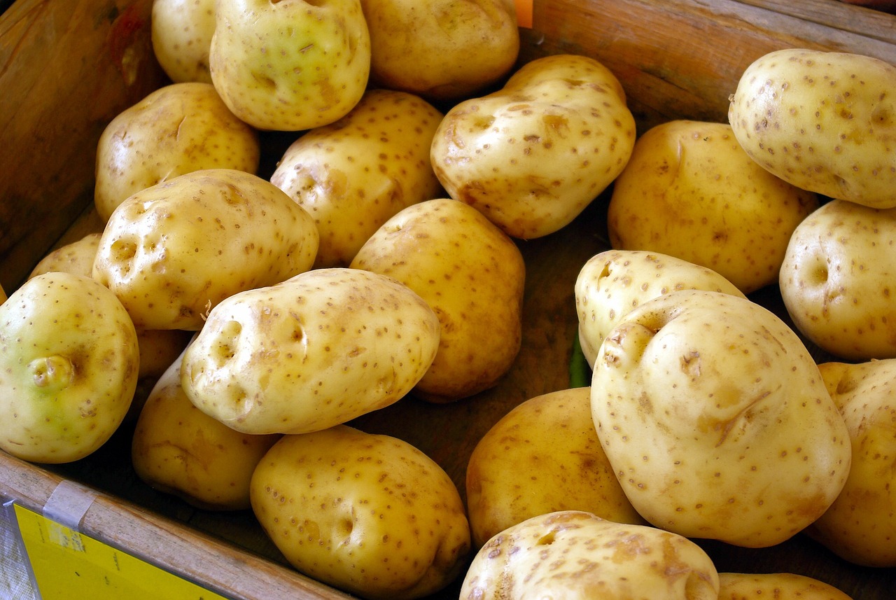 70+ Free Starches & Starch Images - Pixabay