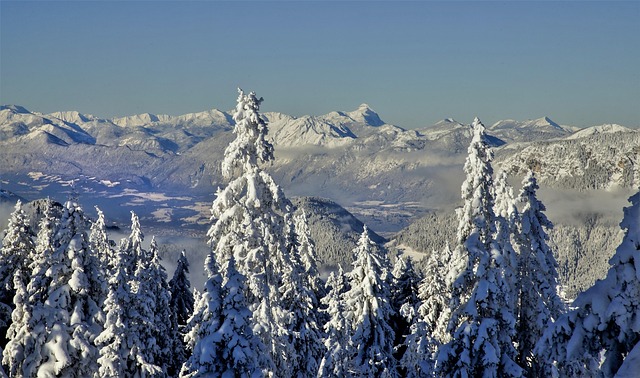 Austria Invierno Nieve - Foto gratis en Pixabay - Pixabay