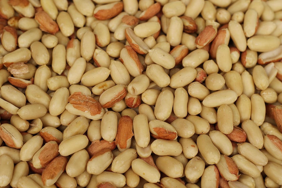 Fruit Peanuts Healthy - Free photo on Pixabay