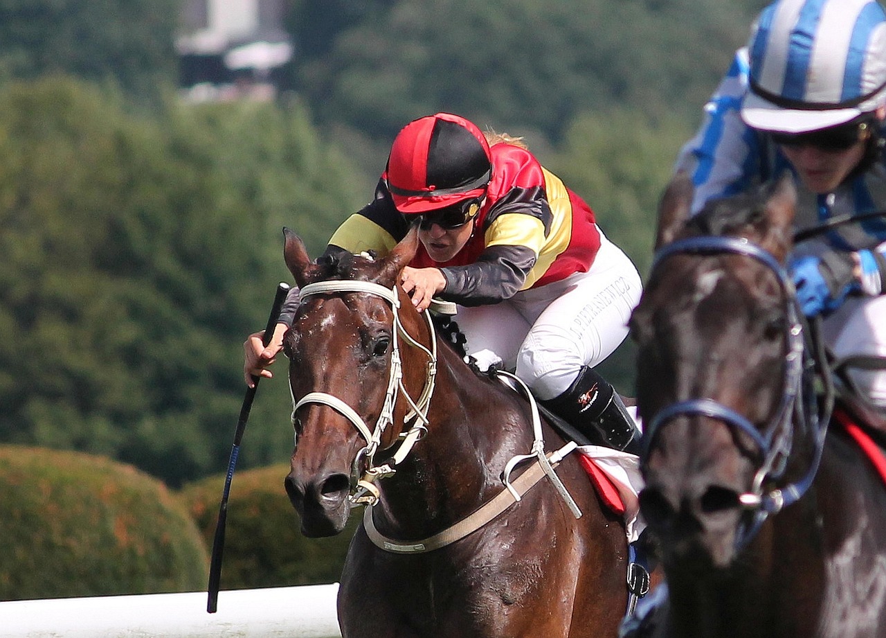 Horse Race Jockey - Free photo on Pixabay - Pixabay