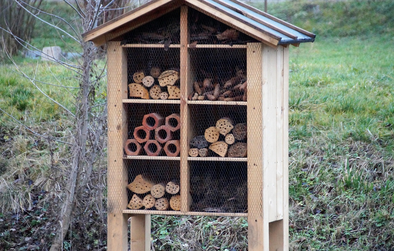 Une Maison Pour Les Insectes - Photo gratuite sur Pixabay - Pixabay