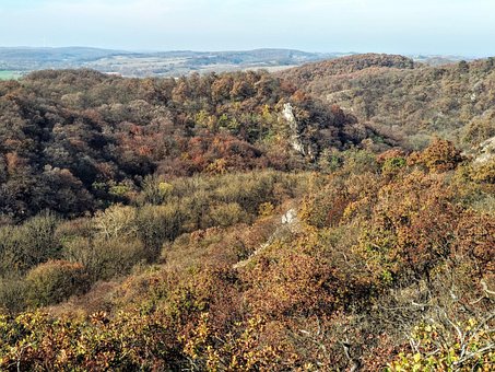 6+ Free Gaja & Reflective Clothing Images - Pixabay
