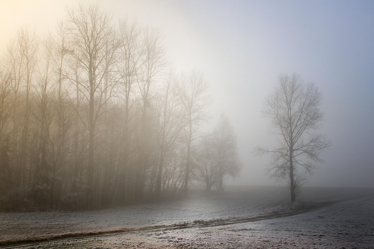 Fog Dawn Landscape - Free photo on Pixabay