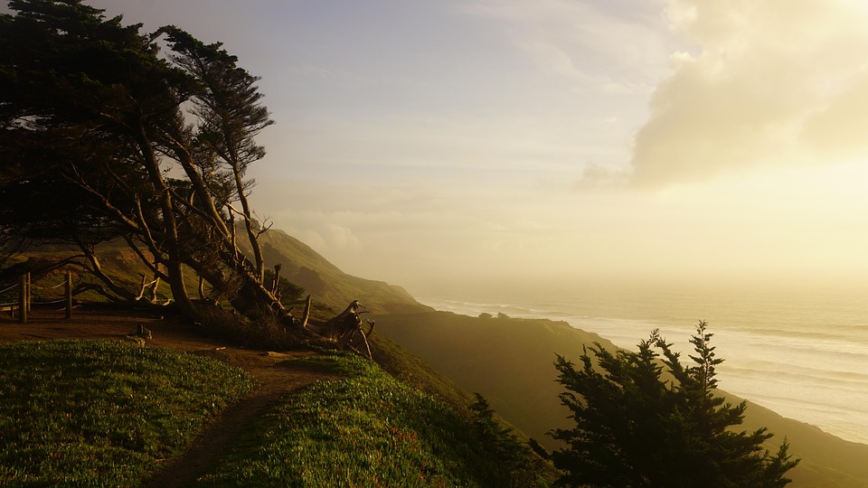 West Coast San Francisco - Free photo on Pixabay - Pixabay