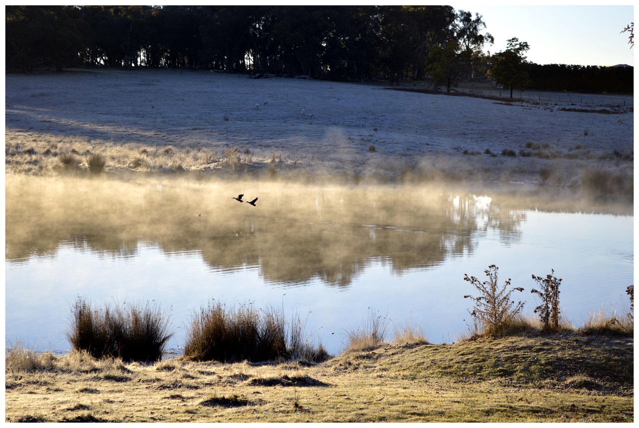 Fog Haze Dusk - Free photo on Pixabay - Pixabay