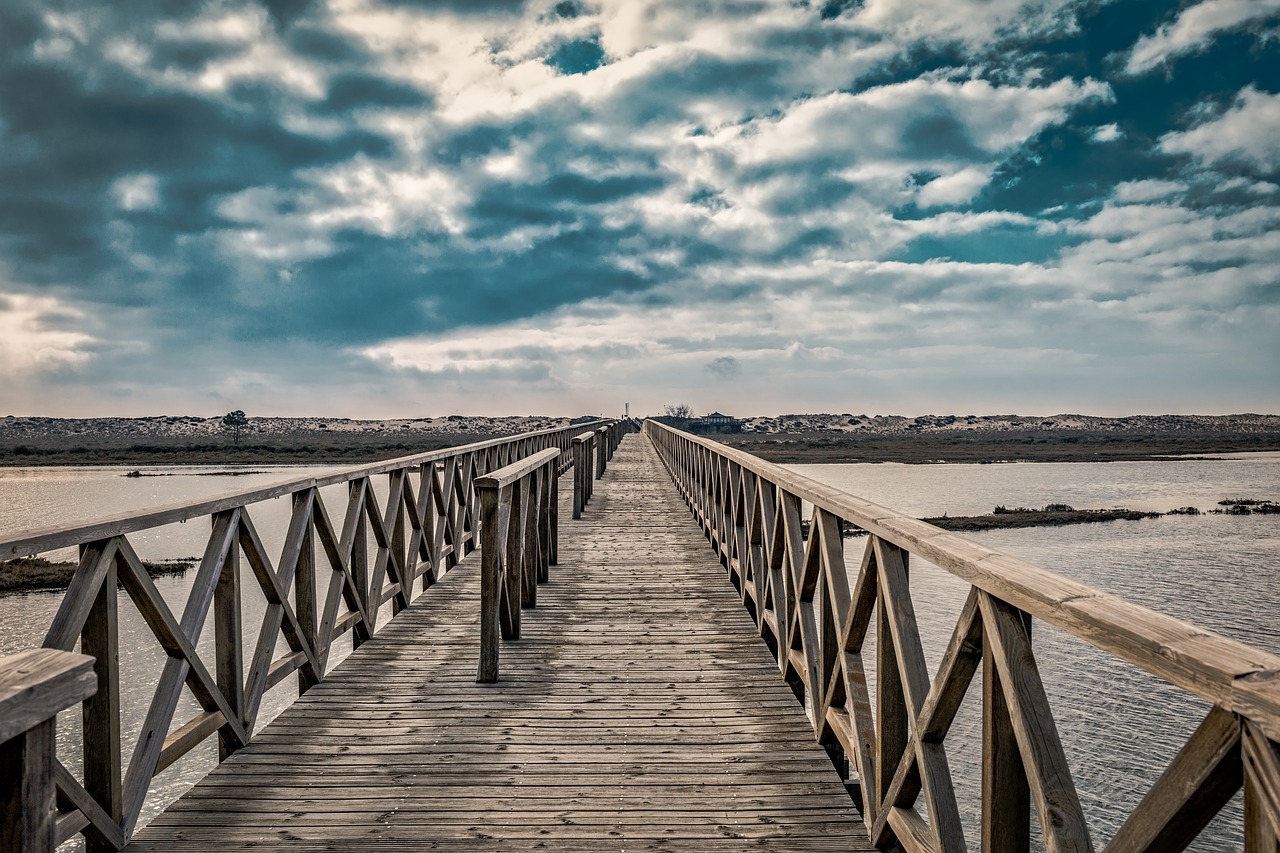 200+ Free Noon & Nature Images - Pixabay