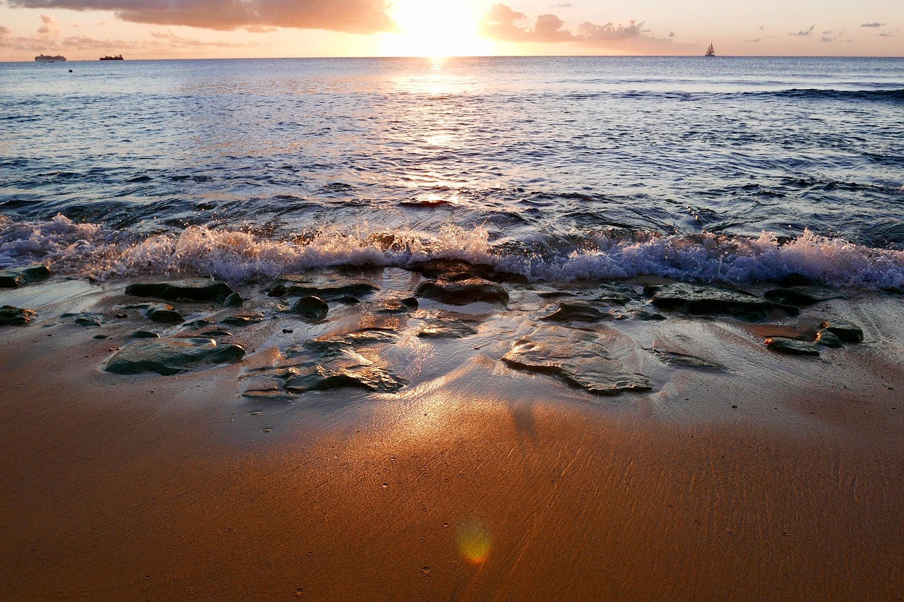 Seashore Beach Barbados - Free photo on Pixabay