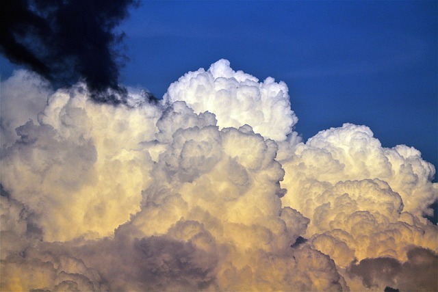 Cumulus Congestus Clouds