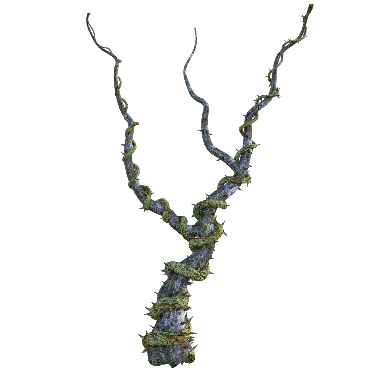 Explore 1,034+ Free Kudzu Vine Illustrations: Download Now - Pixabay
