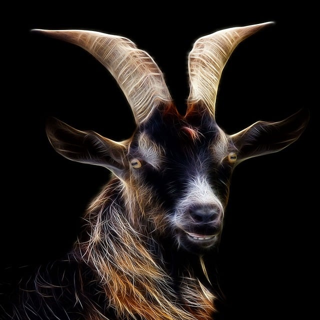 5,000+ Free Goat Pic & Goat Images - Pixabay