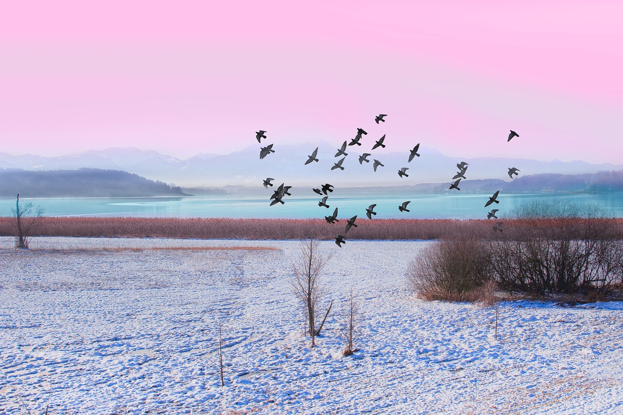 Paisaje Lago Belleza - Foto gratis en Pixabay - Pixabay