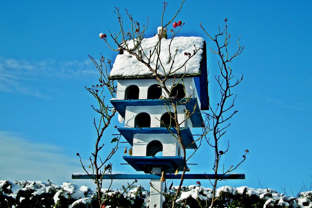 400+ Free Birdhouse & Nature Images - Pixabay