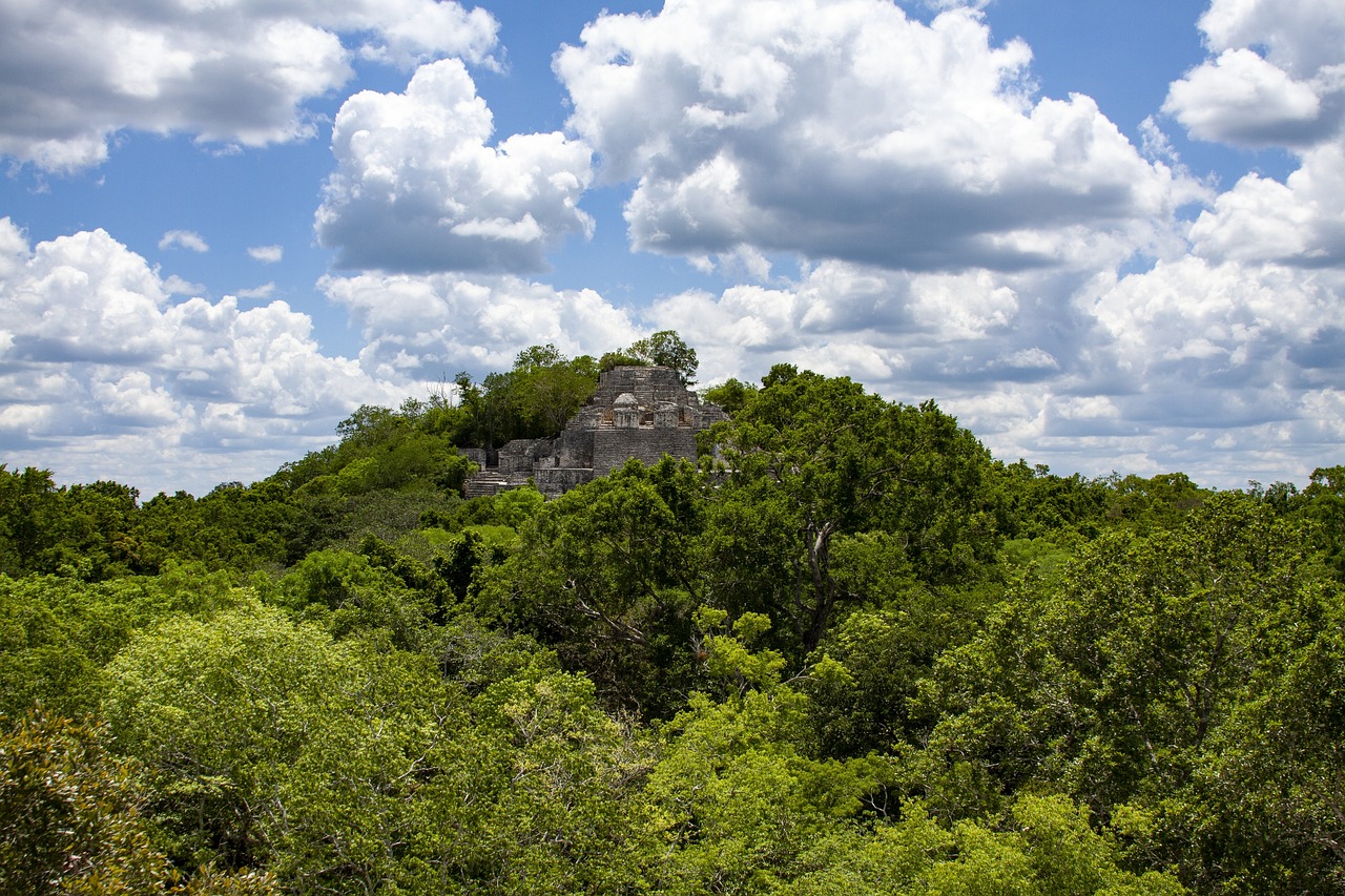Ruins Of Calakmul Pyramid Mayan - Free photo on Pixabay - Pixabay