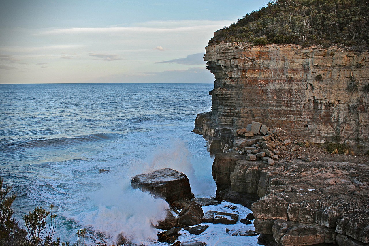 Australia Tasmania Nature - Free photo on Pixabay - Pixabay