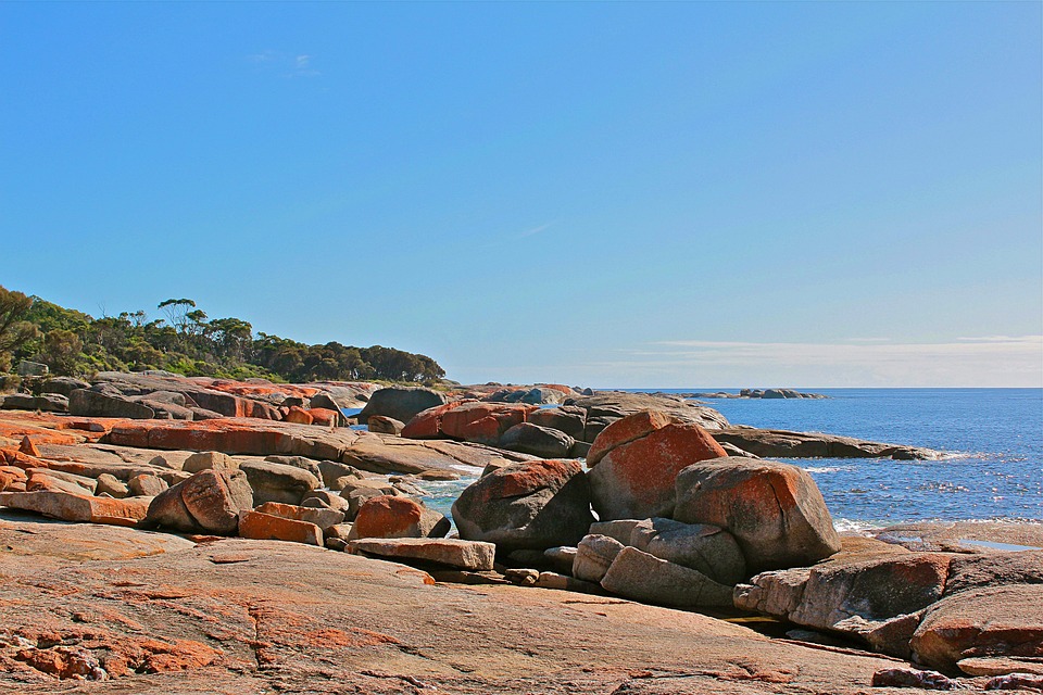 Australia Tasmania Nature - Free photo on Pixabay