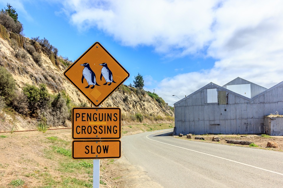 Penguins Sign Crossing - Free photo on Pixabay