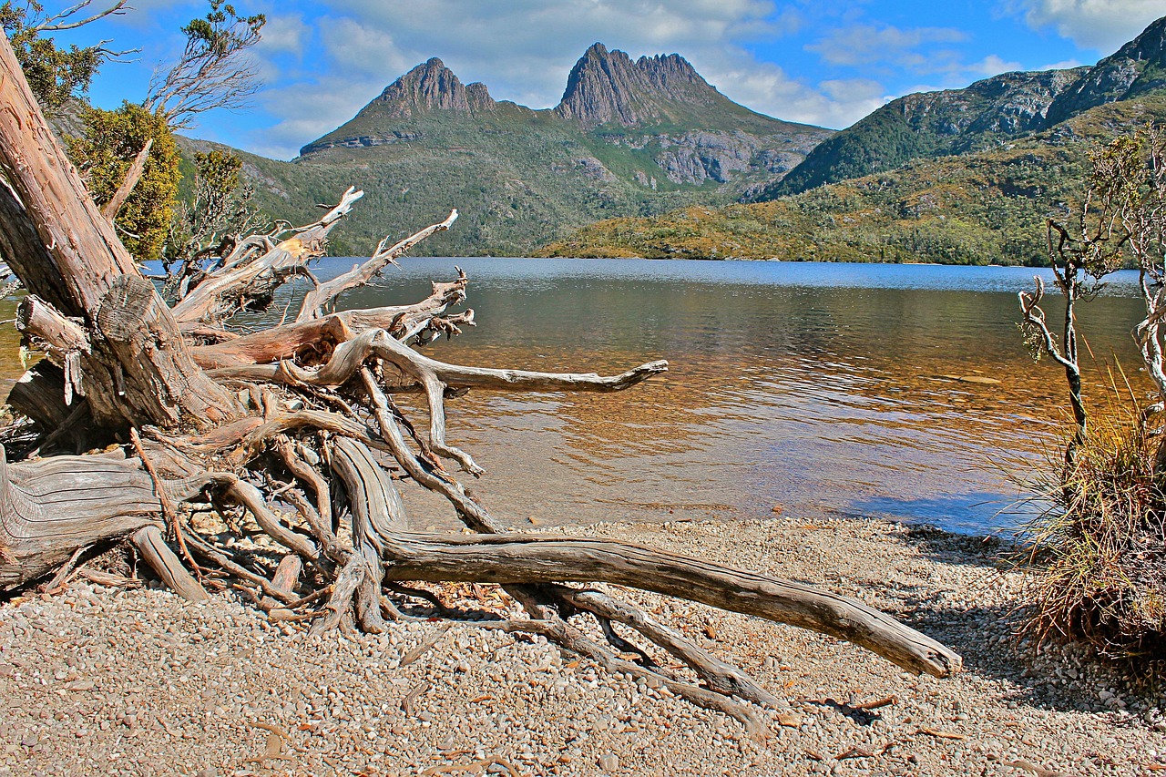 Australia Tasmania Nature - Free photo on Pixabay