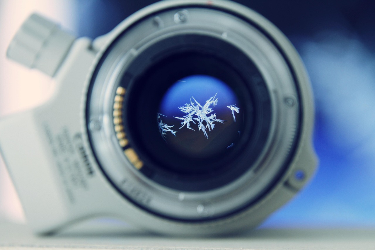 4,000+ Free Focus & Camera Images - Pixabay