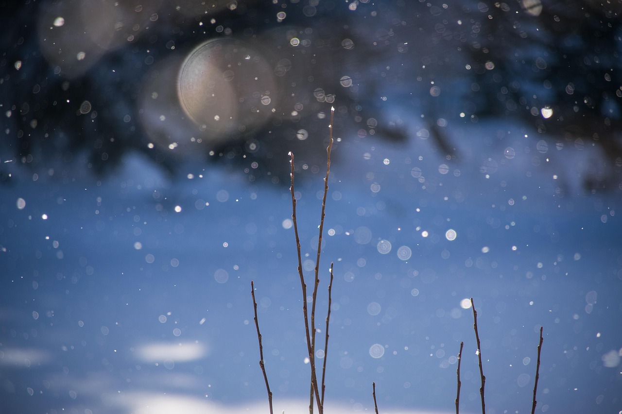 70,000+ Free Snow Flake & Snowflake Images - Pixabay