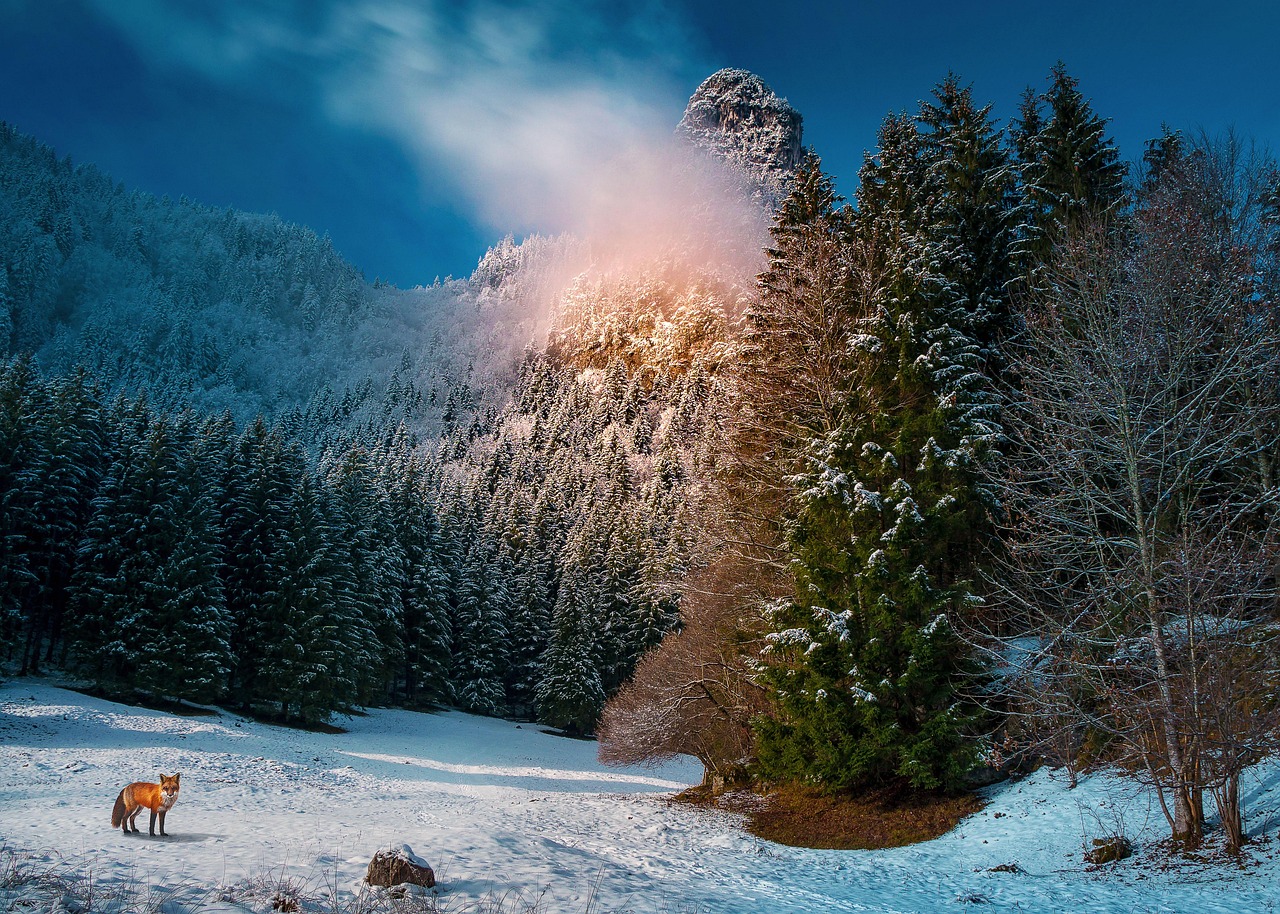 Winter Landscape Snow - Free photo on Pixabay - Pixabay