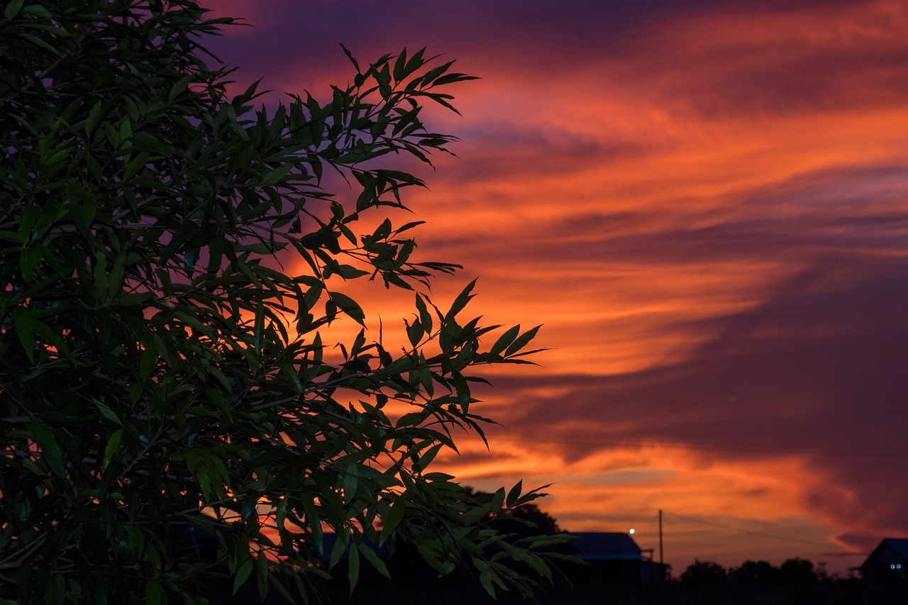 Vibrant Le Coucher Du Soleil - Photo gratuite sur Pixabay - Pixabay