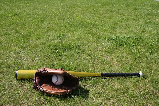 Baseball Glove Bat - Free photo on Pixabay