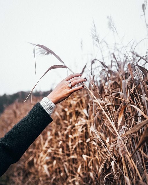 Nature Hand Hands - Free photo on Pixabay